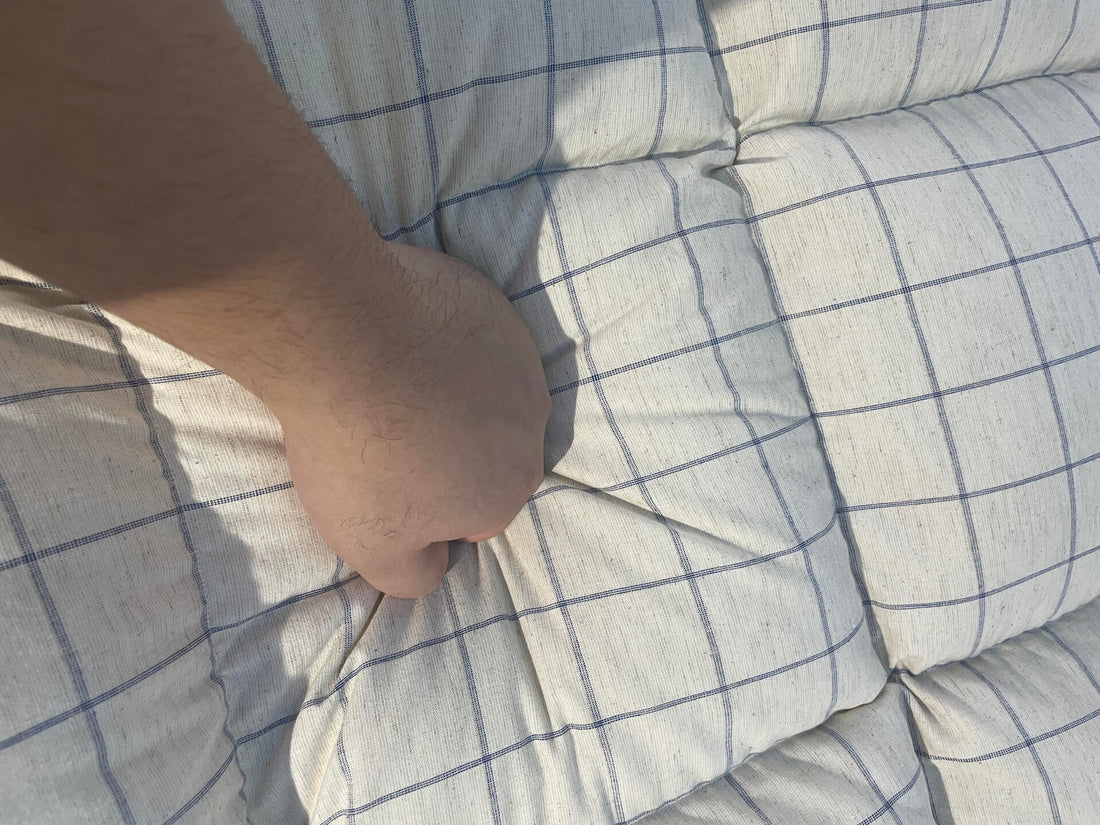 Mattress Protector Vs Encasement Which Is Best For Bed Bugs Urine