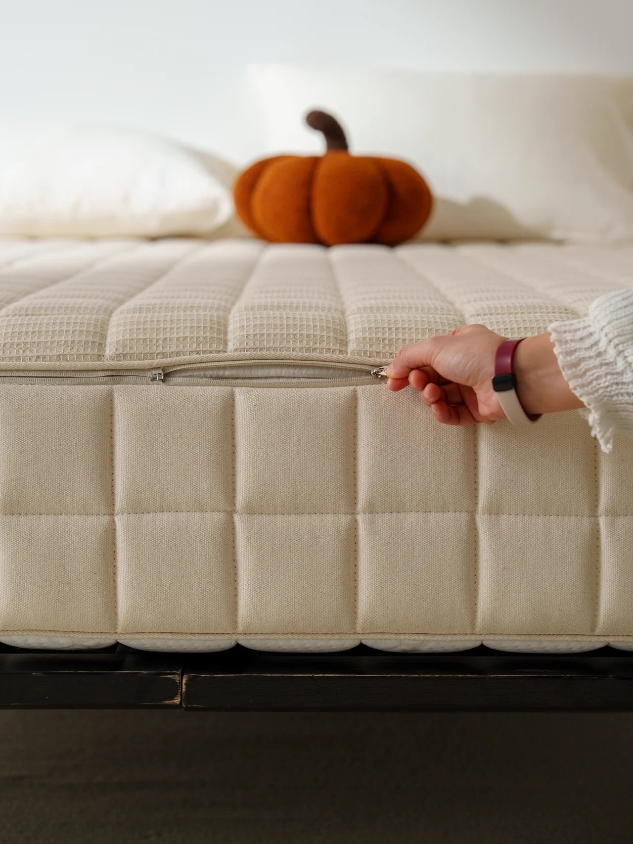 Understanding Bed Bug Mattress Encasements: Ivytress Zippered ...